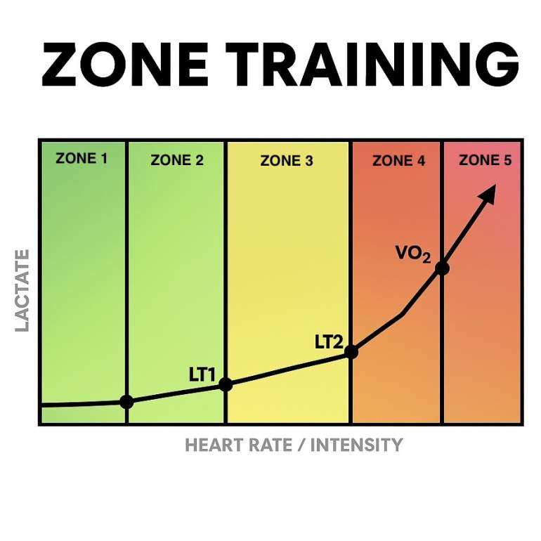 Aerobic Training: Exercise for Longevity and Cardiovascular Health ...